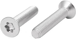 316 Stainless Steel T40 Torx Screw-M8 — REAL Watersports